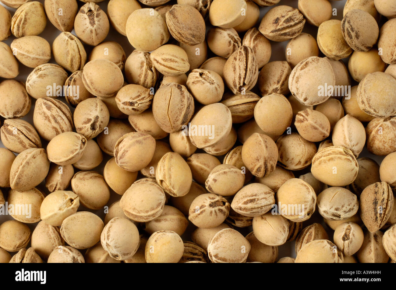 Cherry seed Stock Photo - Alamy