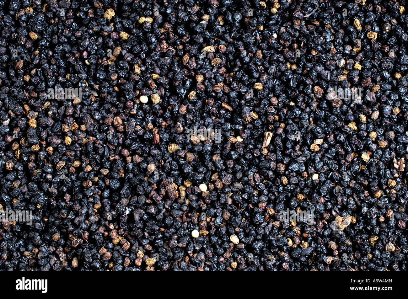 Elder berries Stock Photo - Alamy