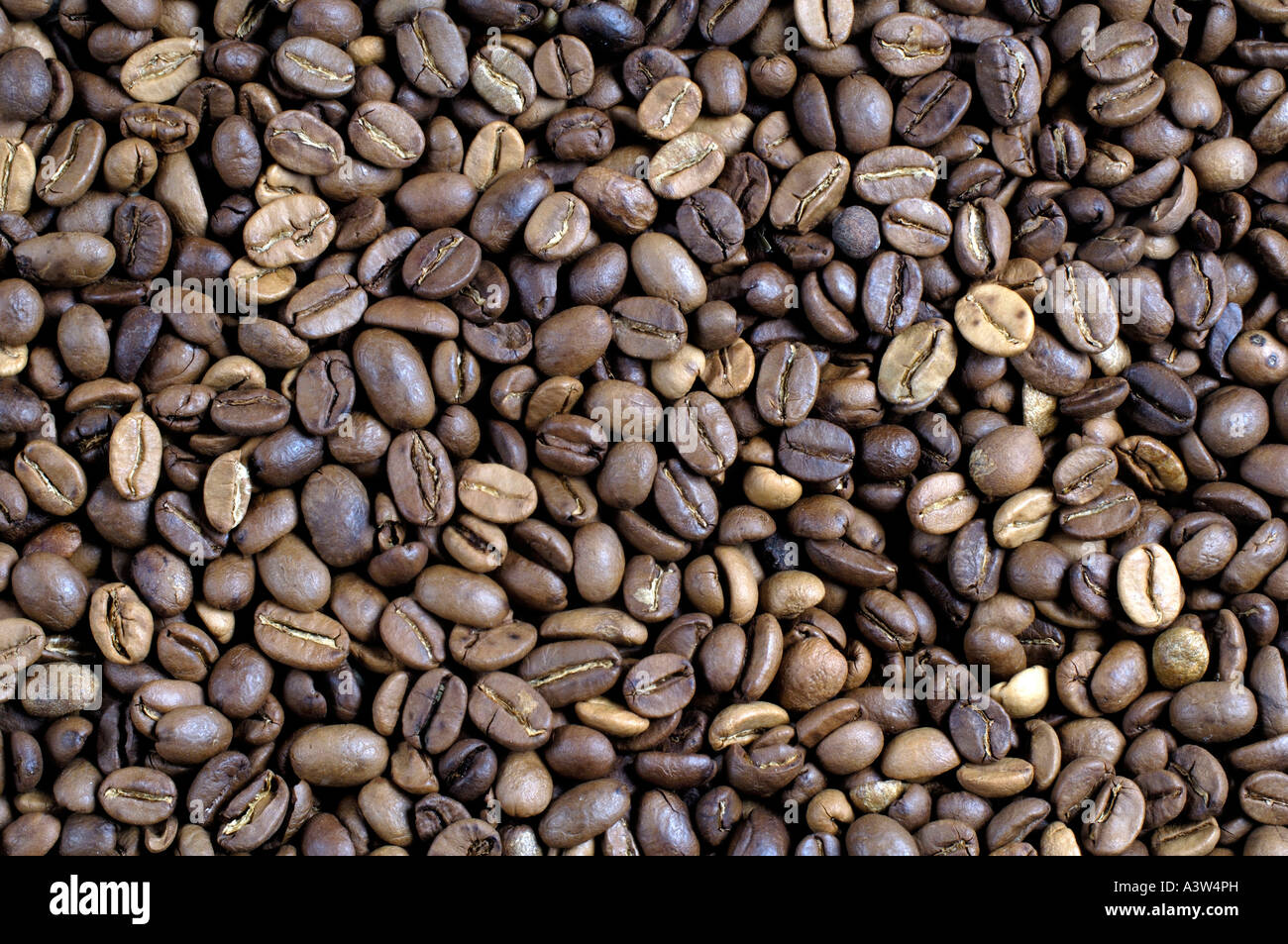 Coffee bean Stock Photo - Alamy