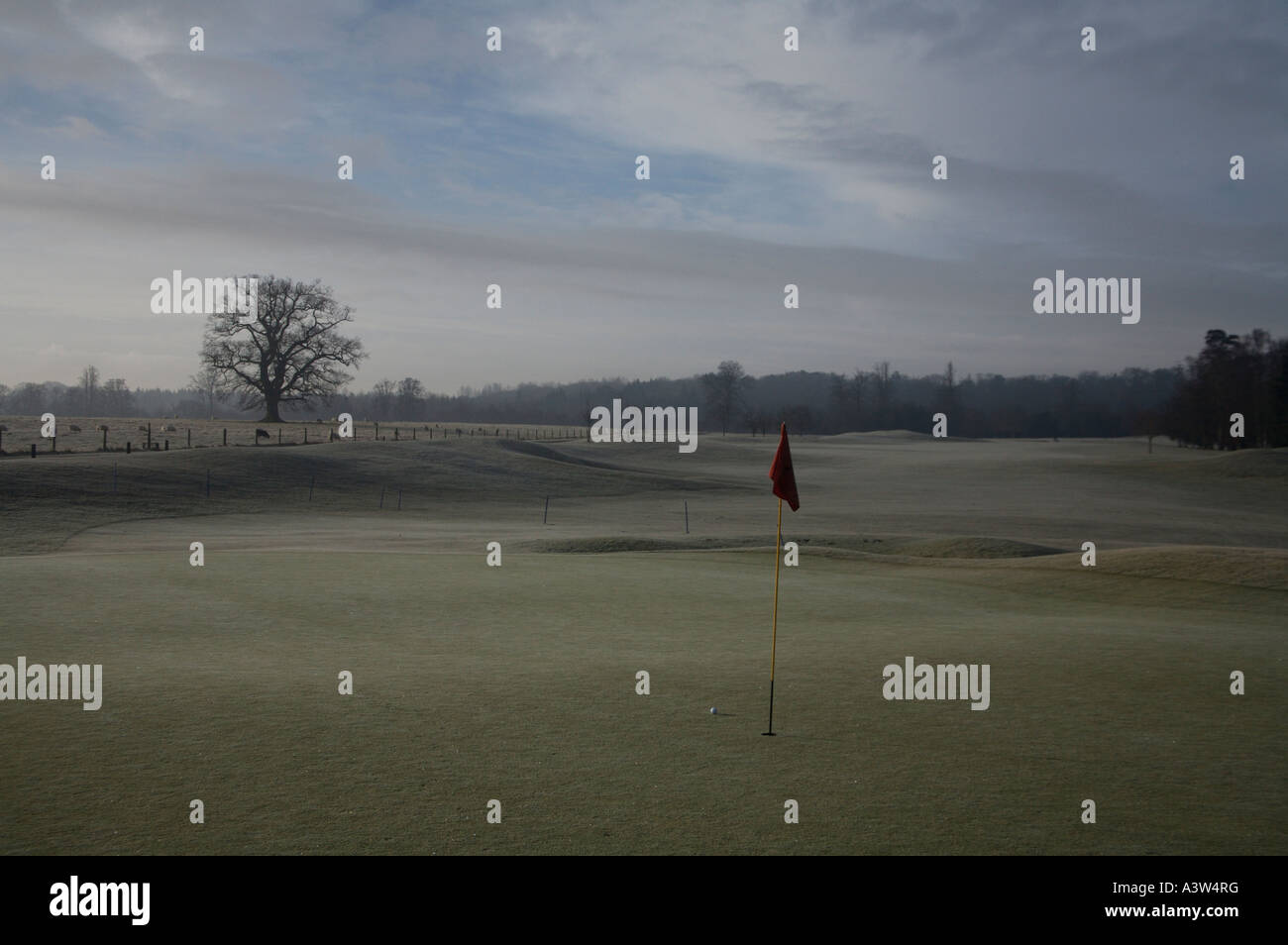 Frosty golf Morning Stock Photo - Alamy