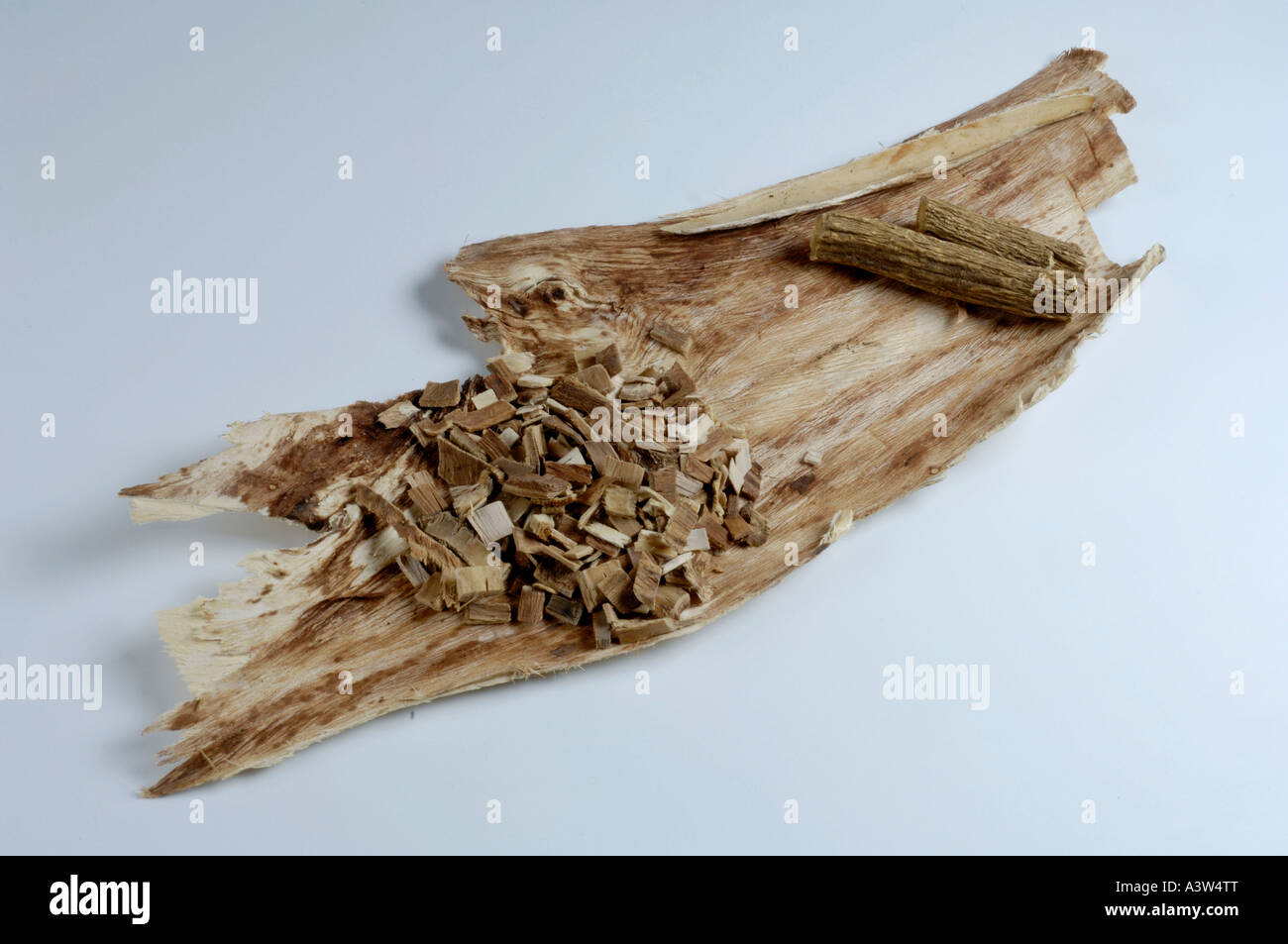 Quillaia soap bark hi-res stock photography and images - Alamy