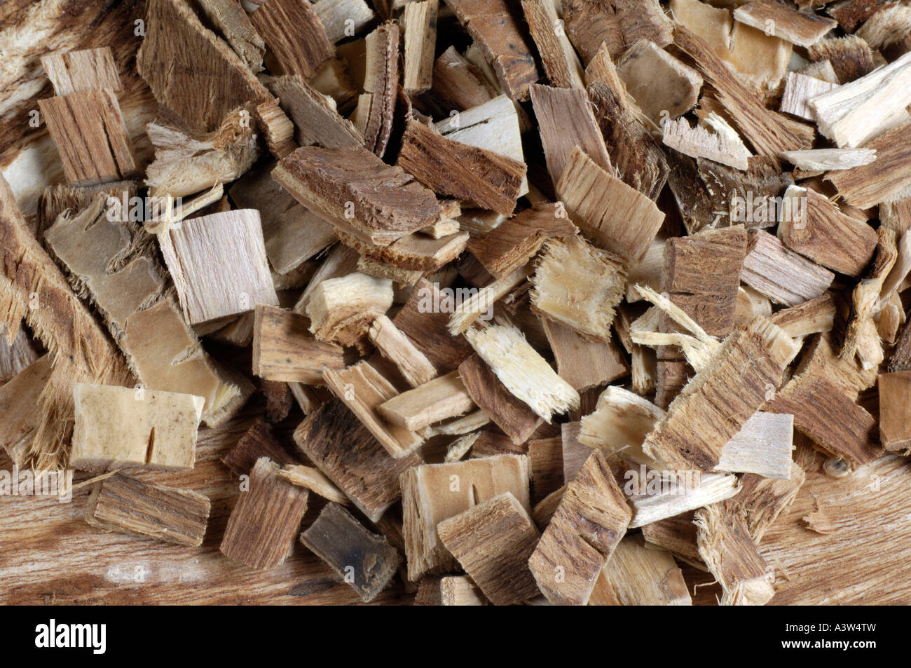 Quillaia / Soap Bark Stock Photo - Alamy