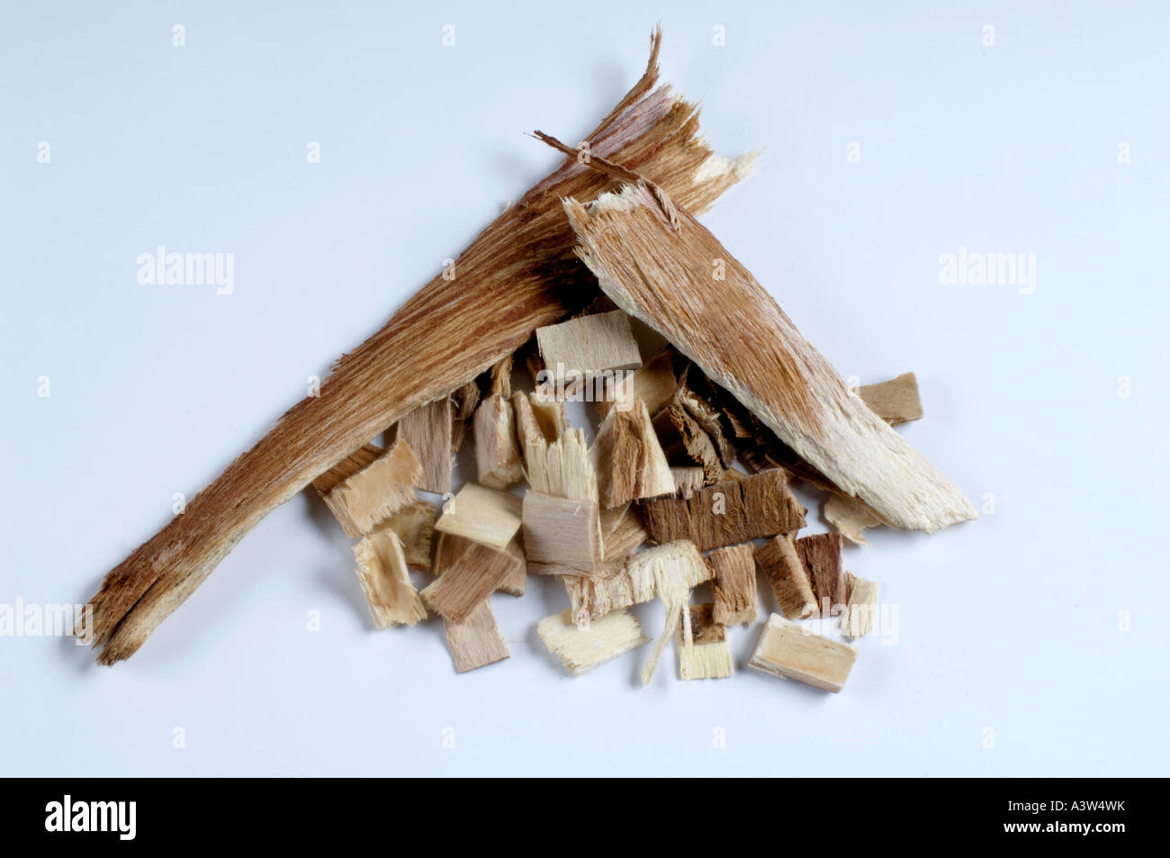 Quillaia / Soap Bark Stock Photo - Alamy