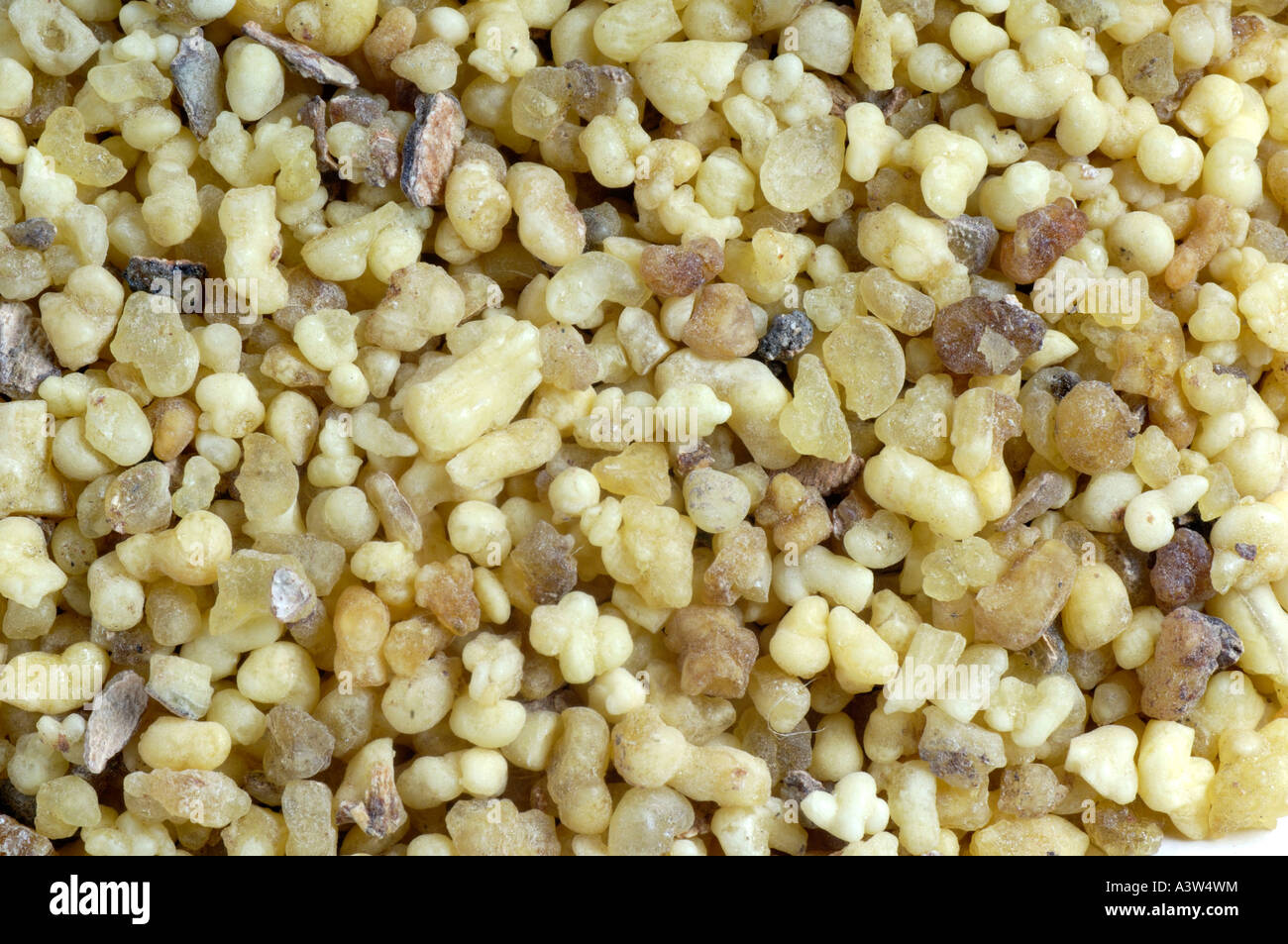 Frankincense resin Stock Photo - Alamy