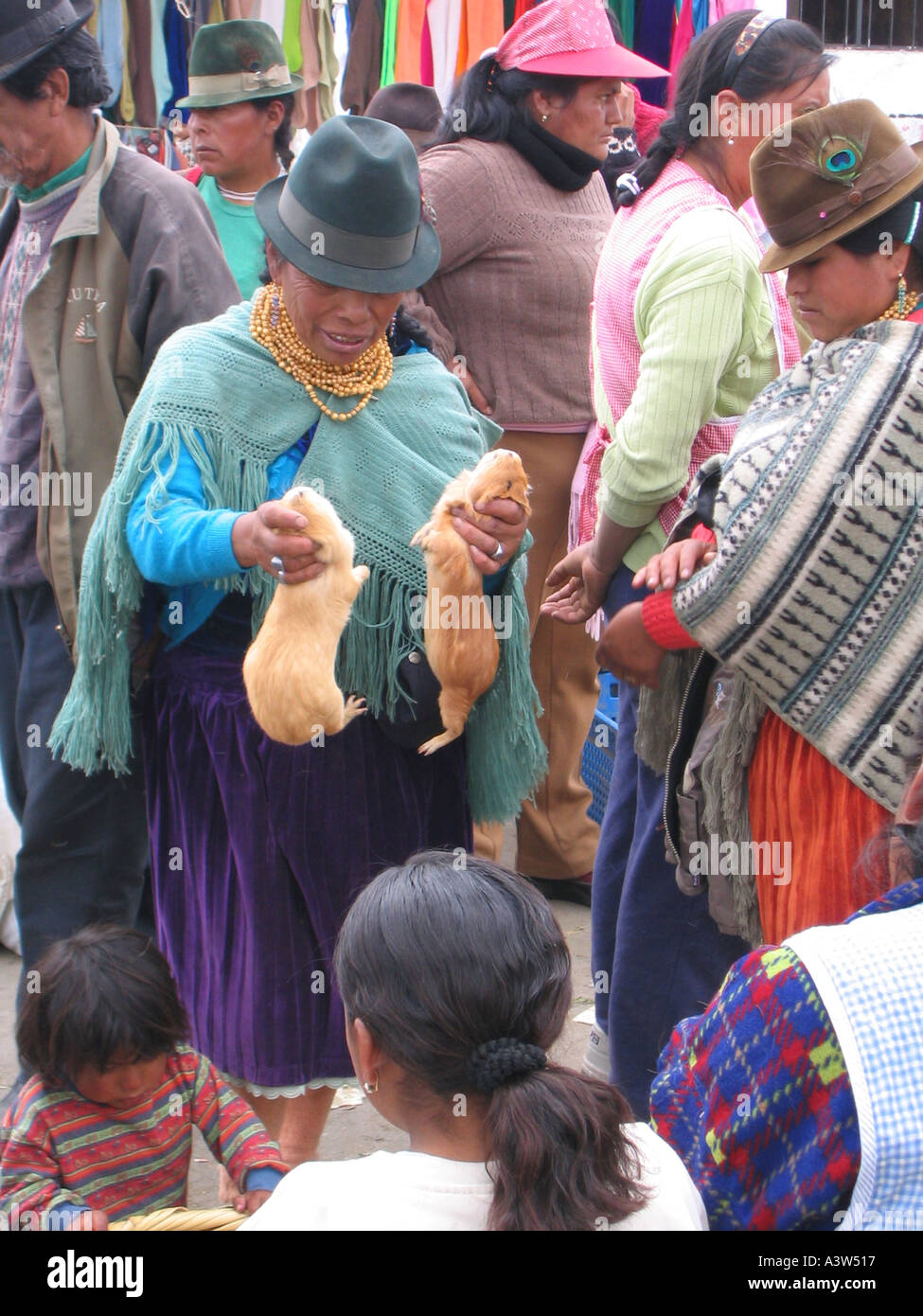 Woman selling pig at market hi-res stock photography and images - Alamy