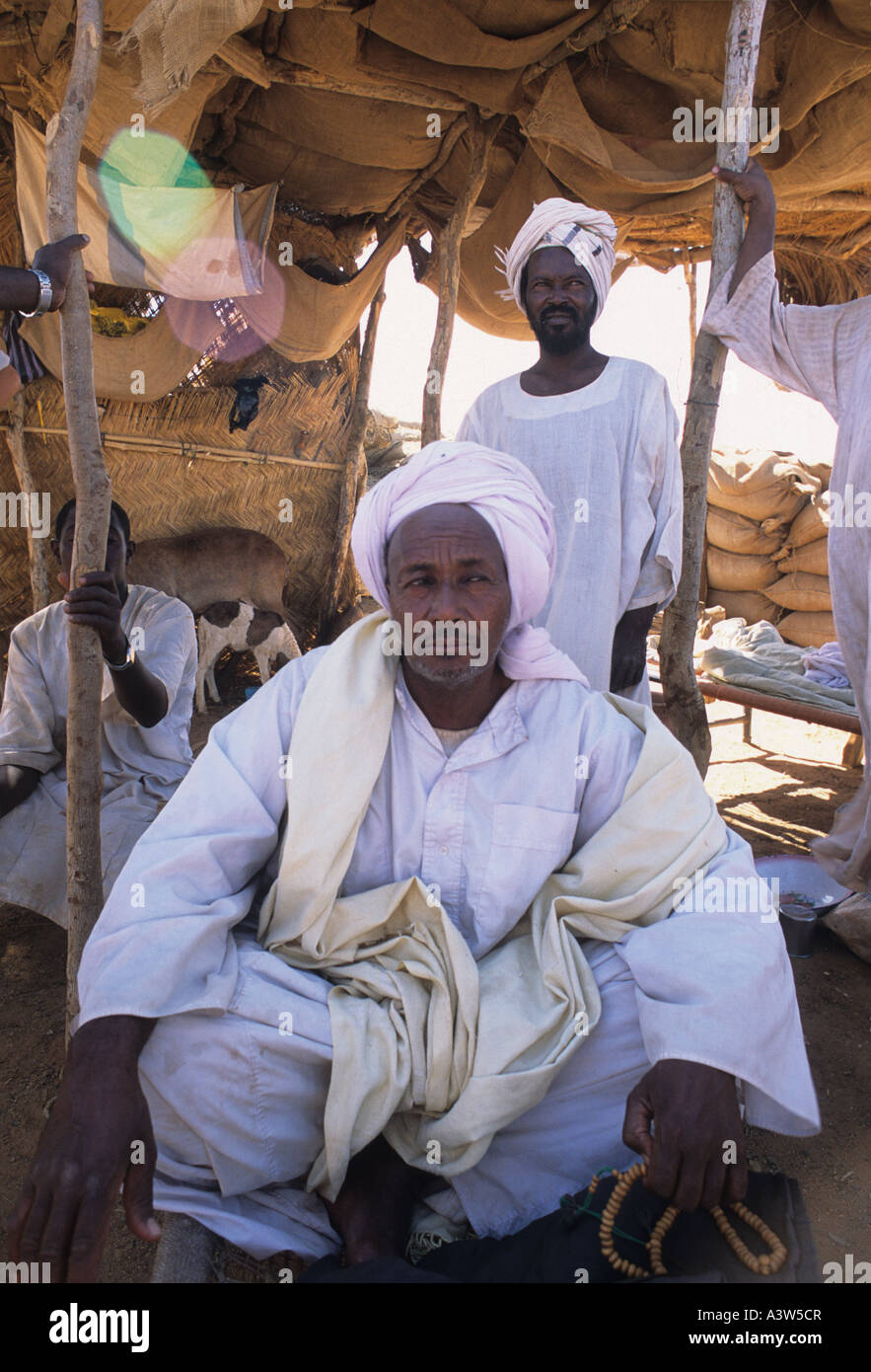 Camel Merchant High Resolution Stock Photography and Images - Alamy