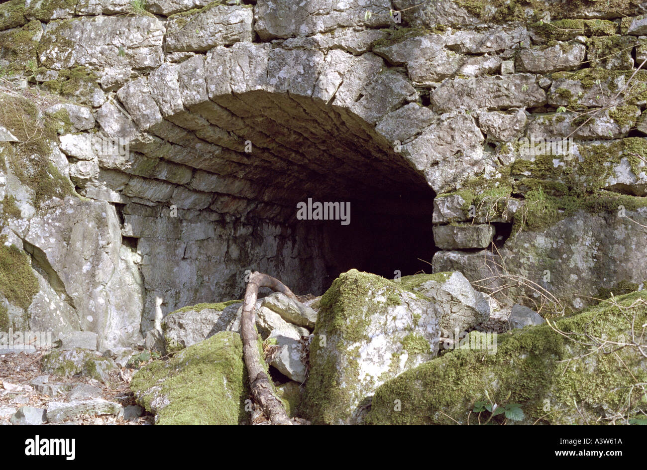 Hyning scout wood hi-res stock photography and images - Alamy