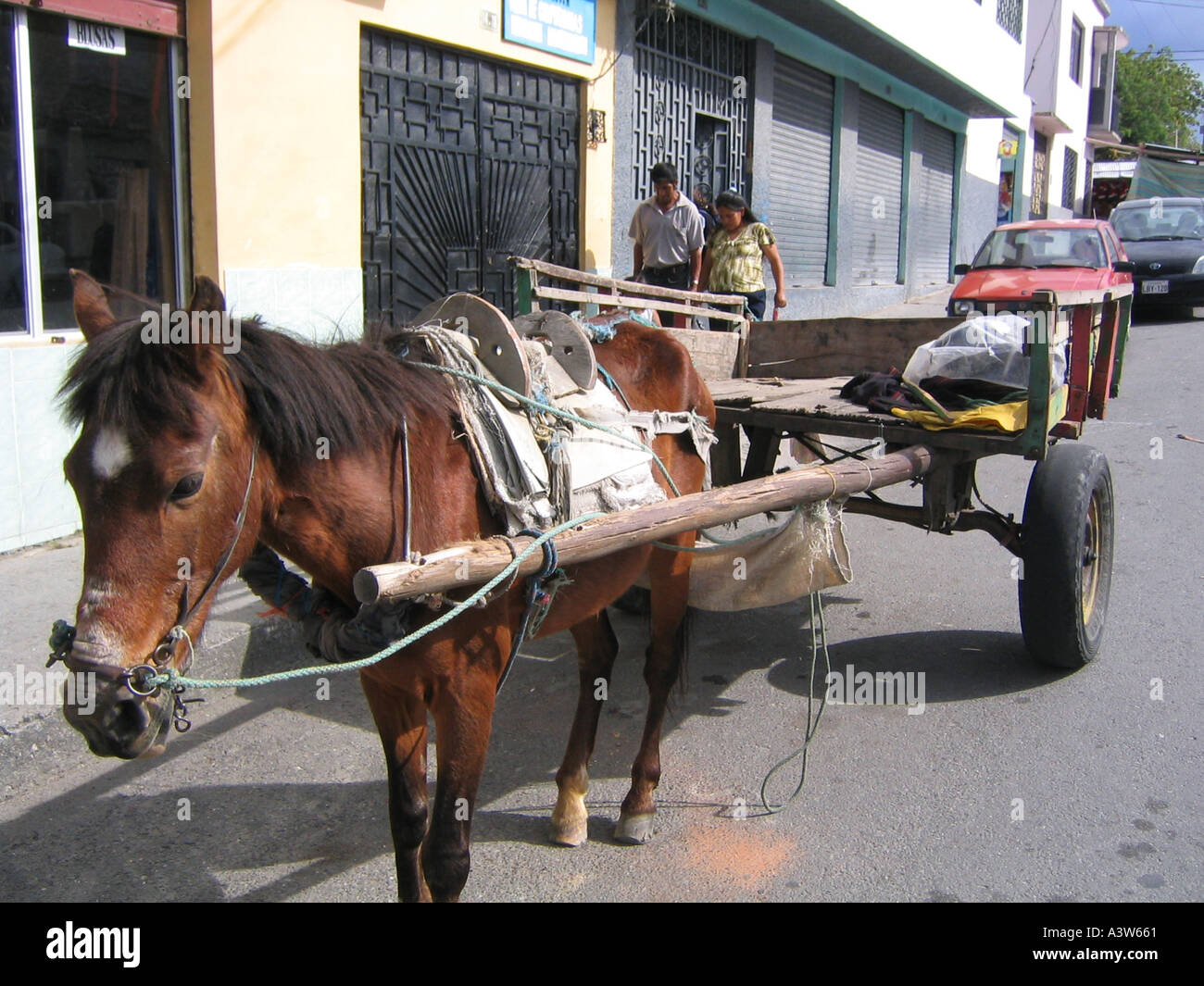 Donkey ecuador hi-res stock photography and images - Alamy