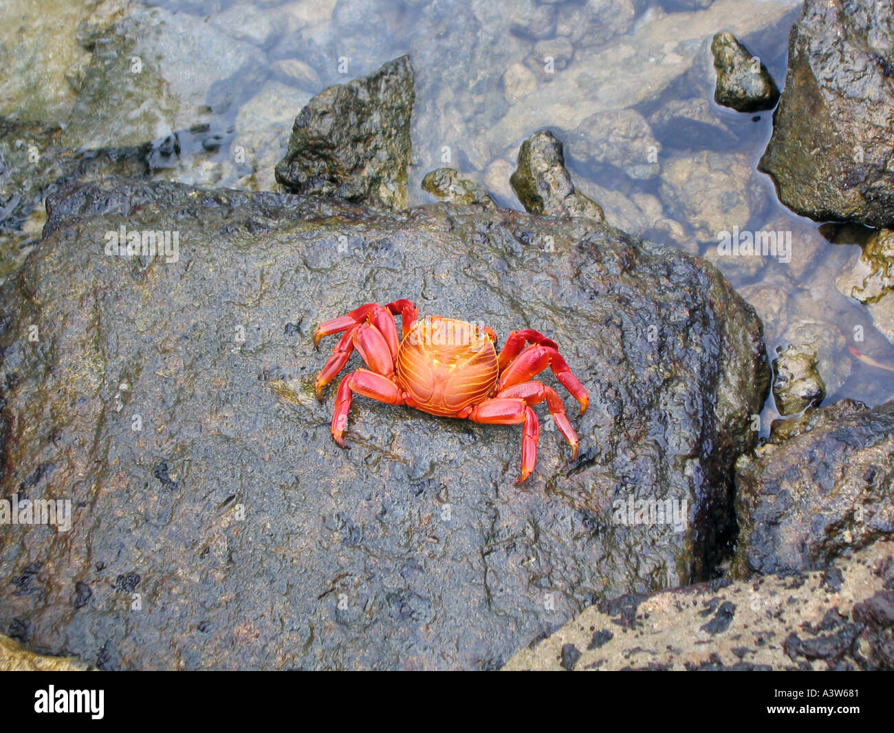 Darwin volcanoes hi-res stock photography and images - Alamy