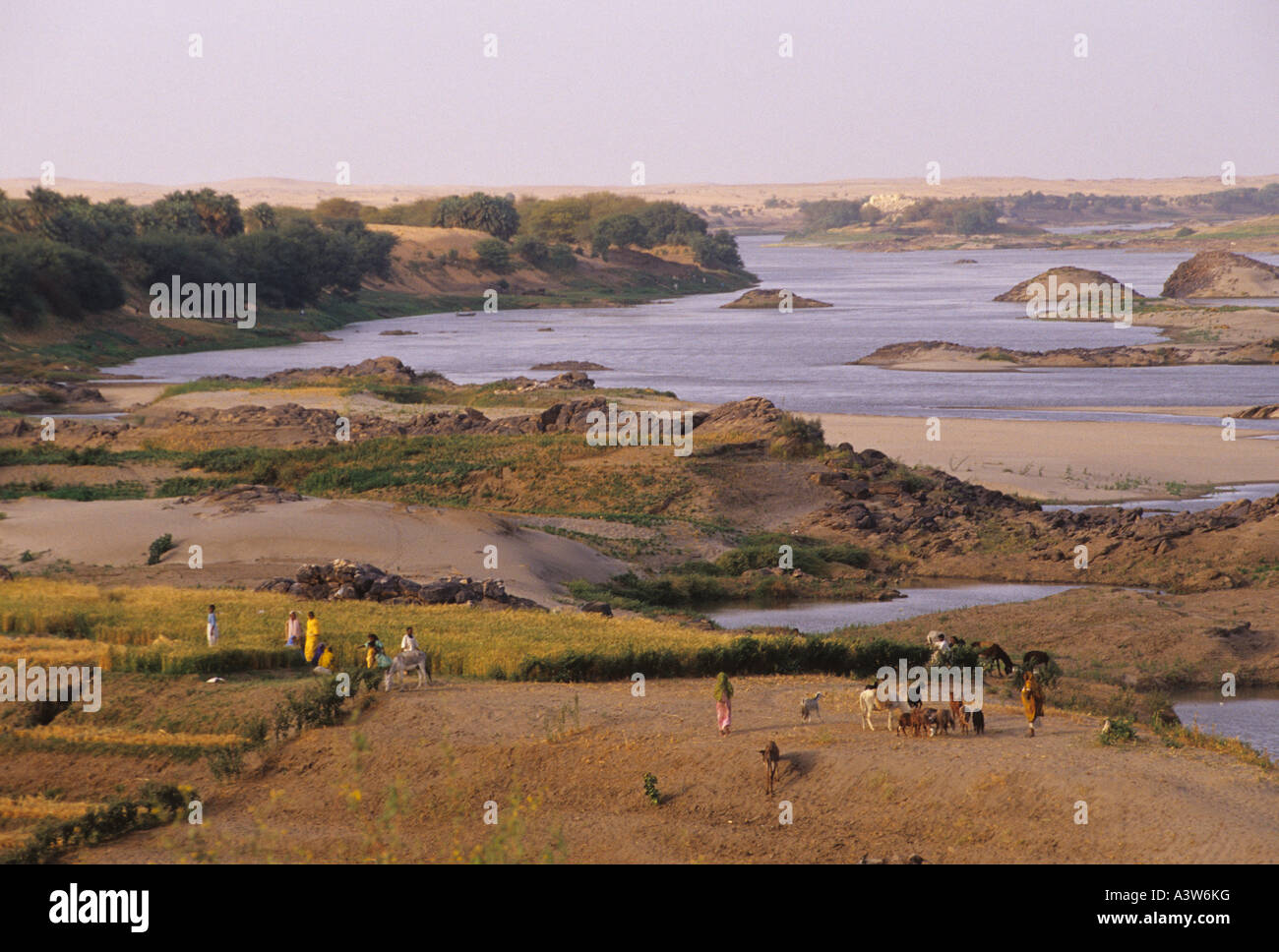 view of nile sudan Stock Photo - Alamy
