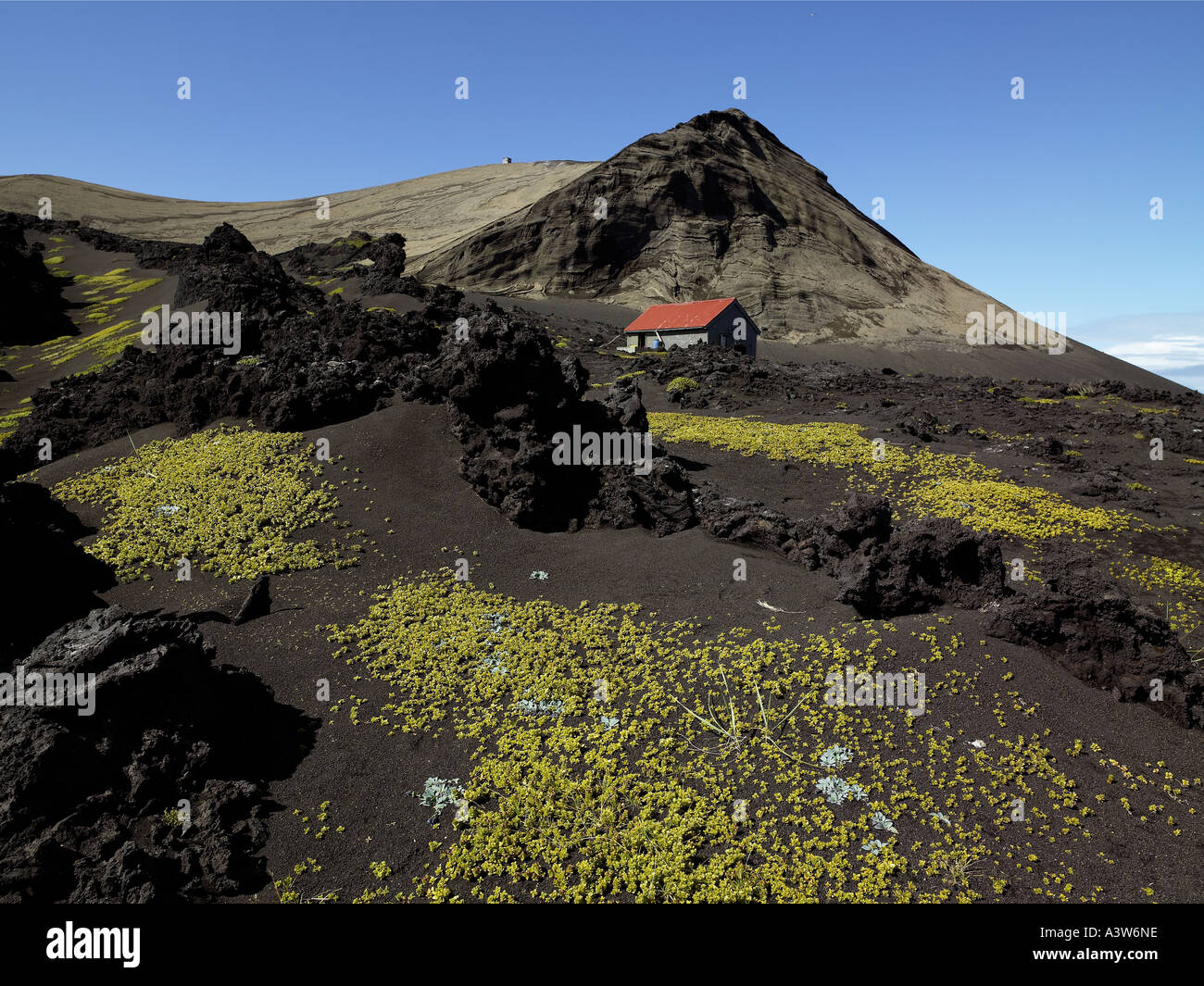 Surtsey Island, Westman Islands, Iceland Stock Photo - Alamy