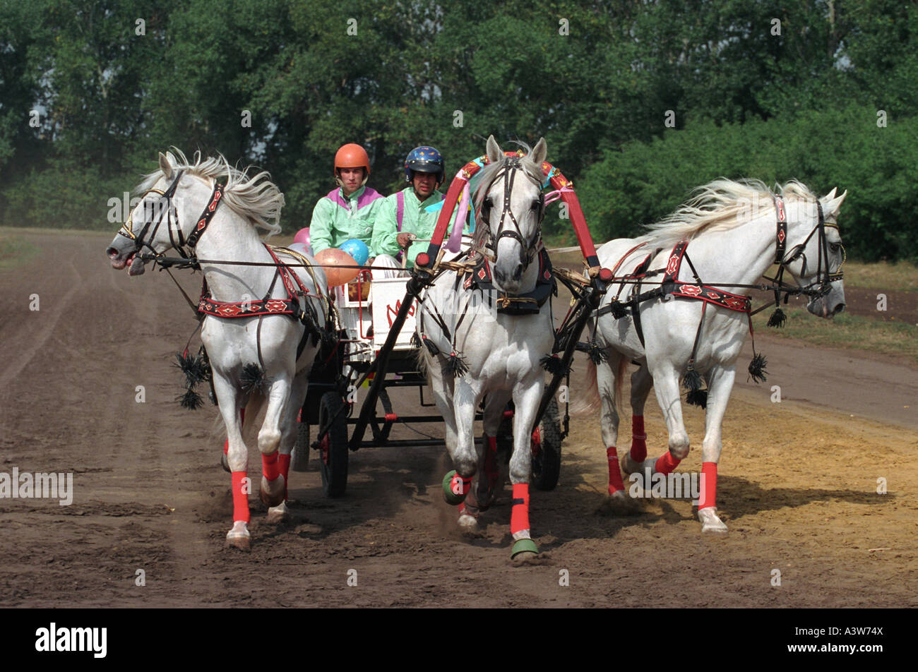 Russian 'troika' photo hi-res stock photography and images - Alamy