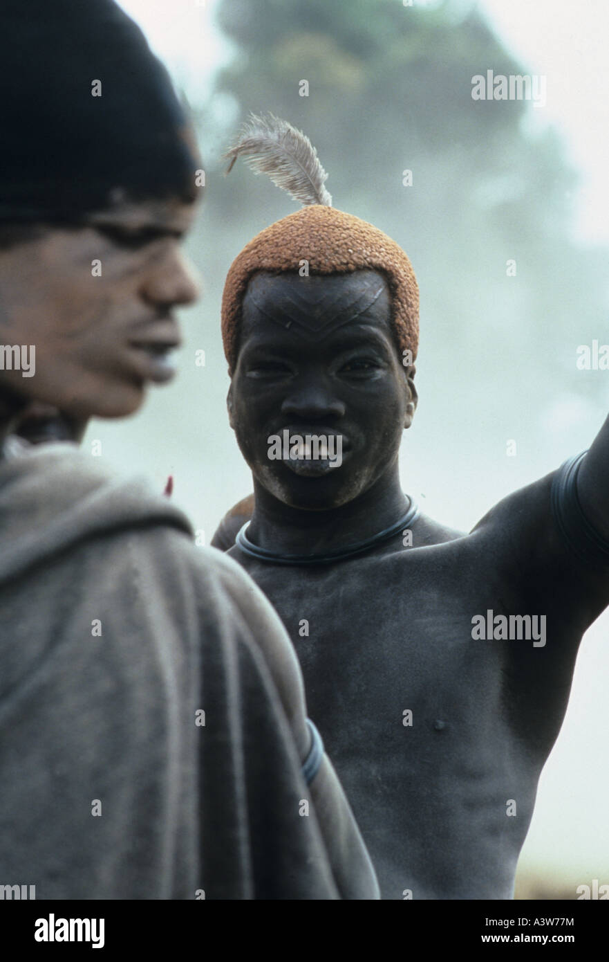 Mandari hi-res stock photography and images - Alamy