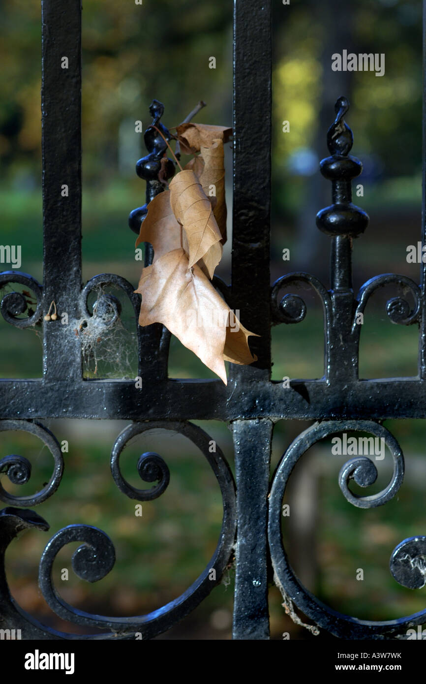 Autumn leaf on railing Stock Photo - Alamy