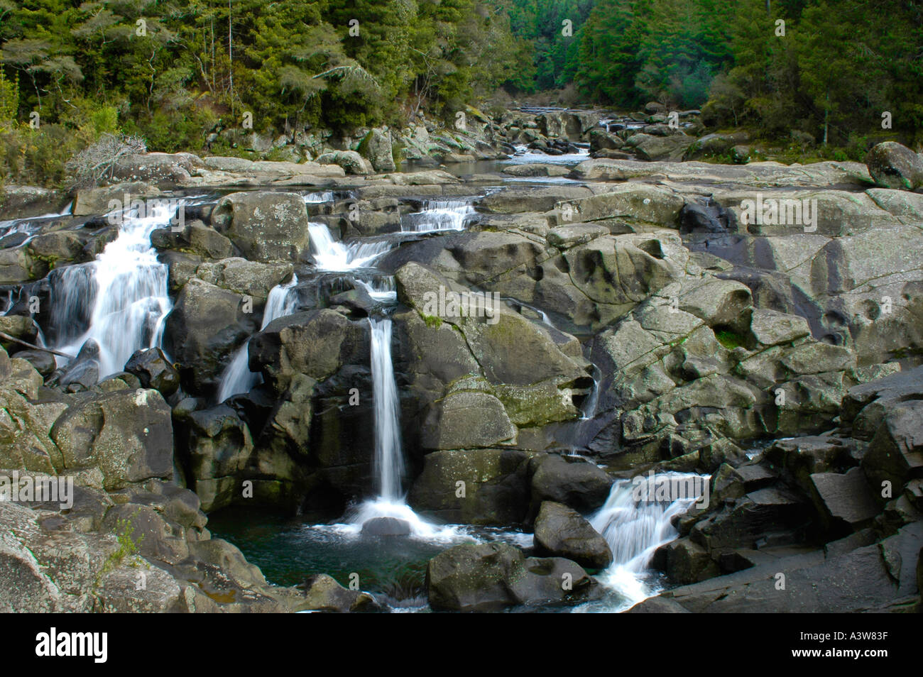 McLarren Falls Kaimai Ranges Bay of Plenty New Zealand Stock Photo - Alamy