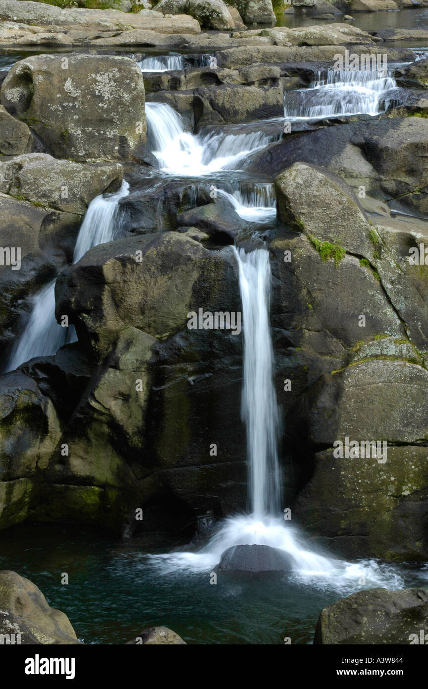McLarren Falls Kaimai Ranges Bay of Plenty New Zealand Stock Photo - Alamy