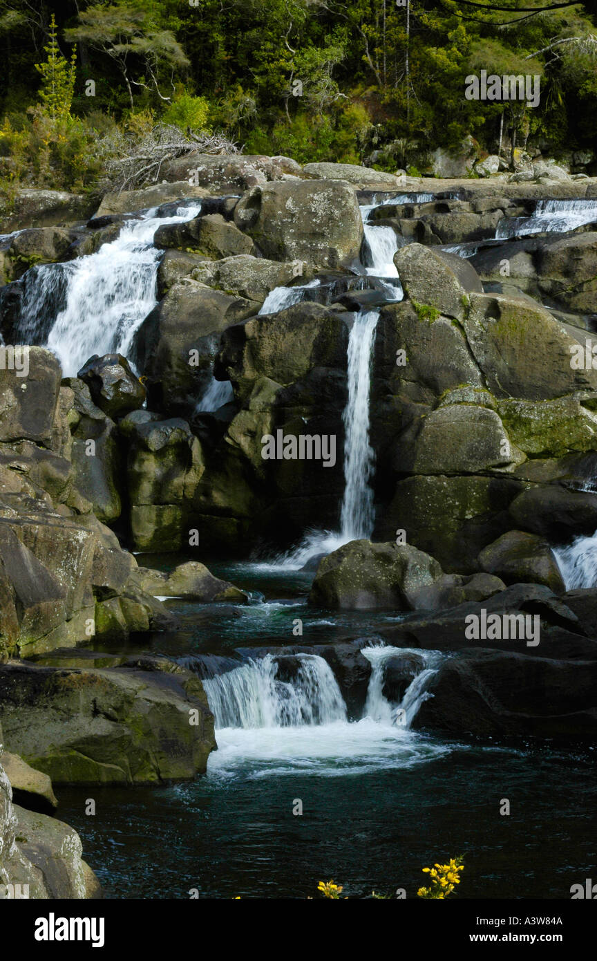 McLarren Falls Kaimai Ranges Bay of Plenty New Zealand Stock Photo - Alamy