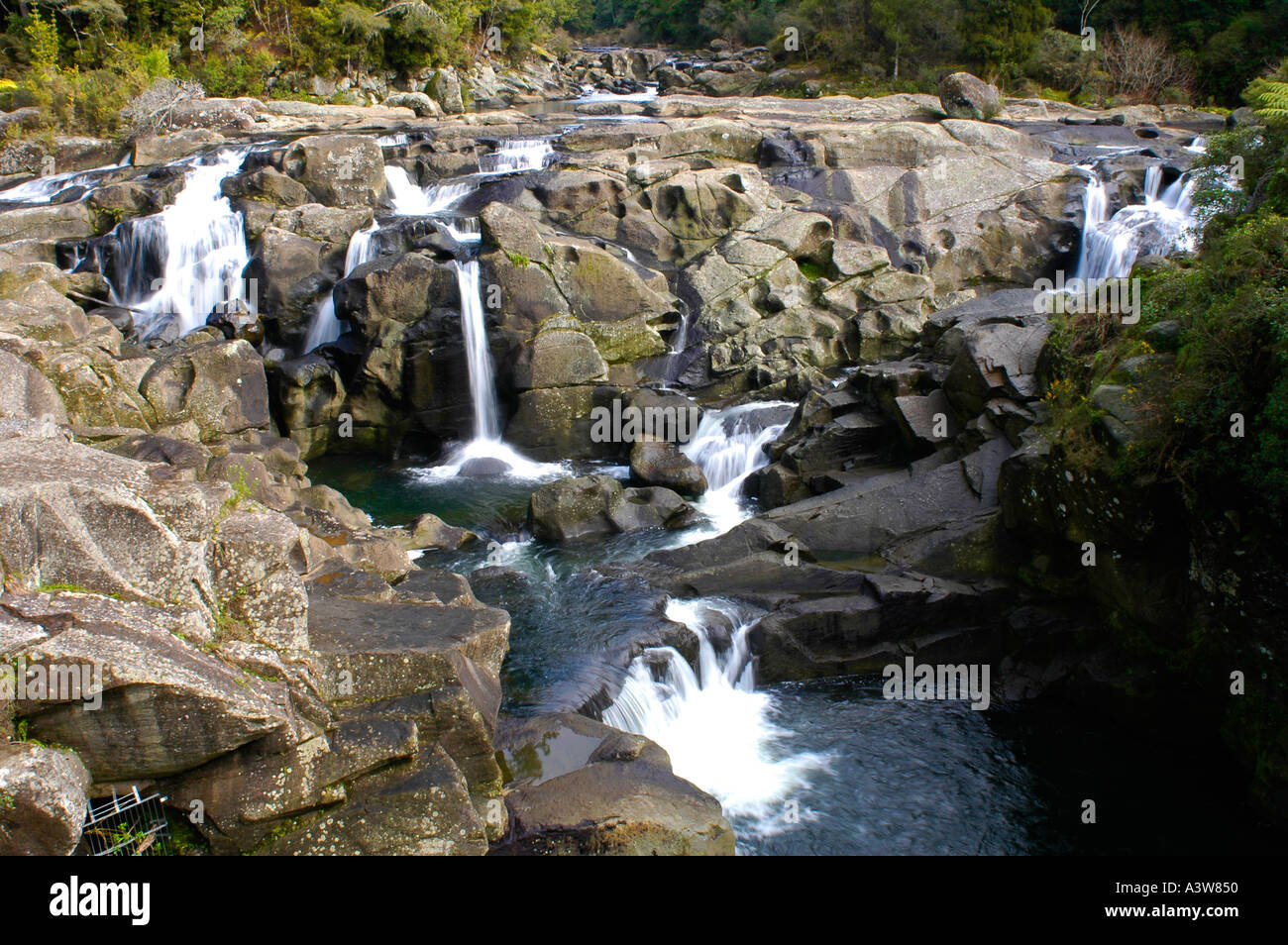 McLarren Falls Kaimai Ranges Bay of Plenty New Zealand Stock Photo - Alamy