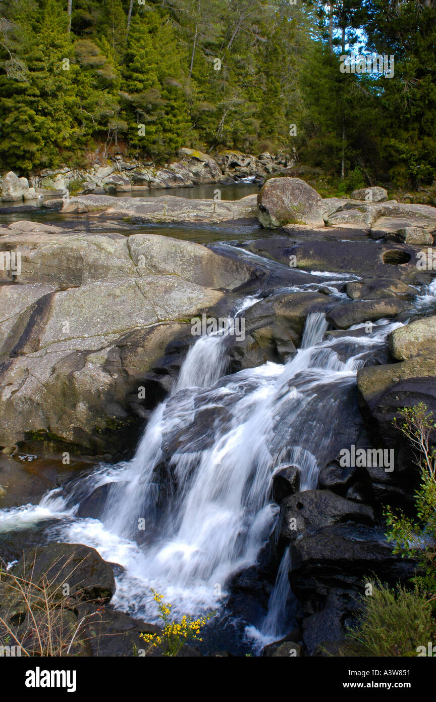 Kaimai ranges new zealand hi-res stock photography and images - Alamy