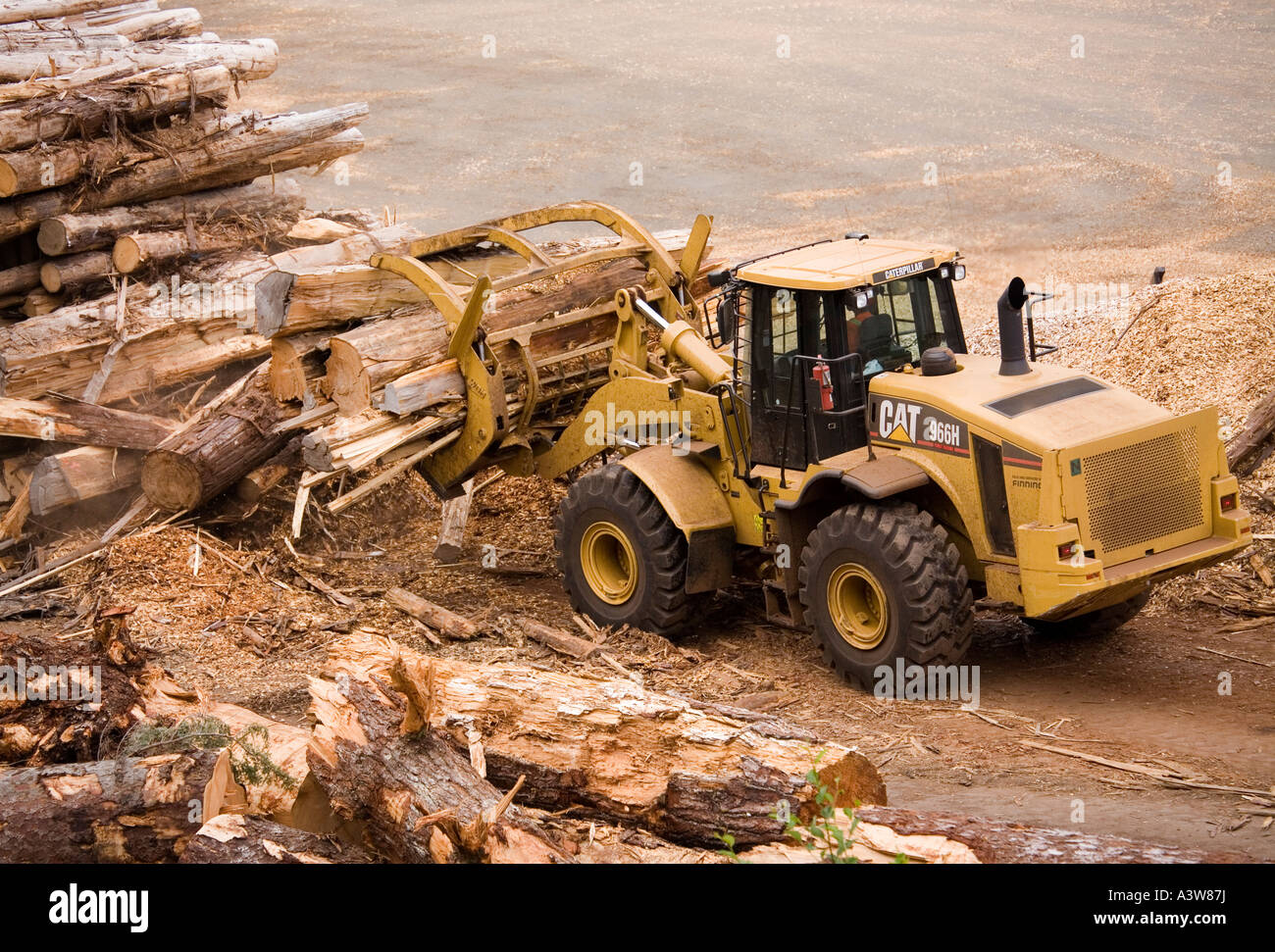 Collecting logs at dryland sort for processing into chips for chipboard ...