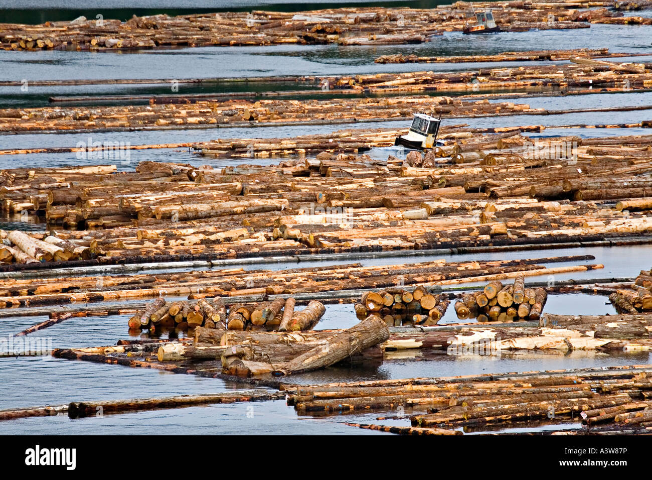 Tugboat with floating rafts of logs at Englewood Forest Operations at ...