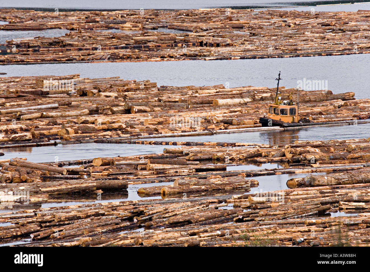 Tugboat with floating rafts of logs at Englewood Forest Operations at ...