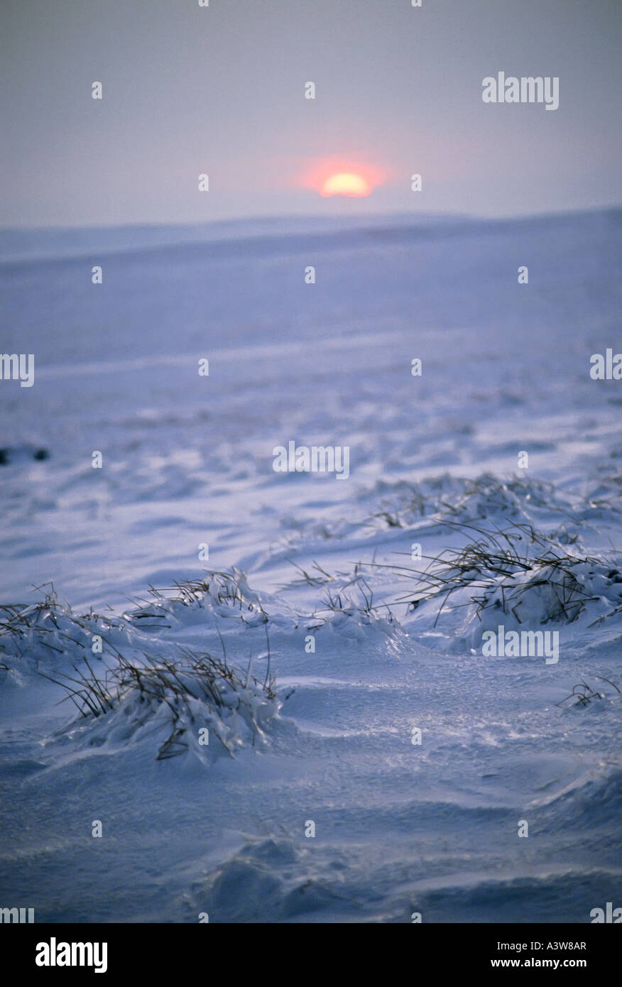 Pale winter sun setting over snowy moorland Brecon beacons national ...