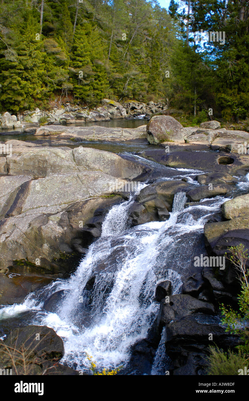 McLarren Falls Kaimai Ranges Bay of Plenty New Zealand Stock Photo - Alamy