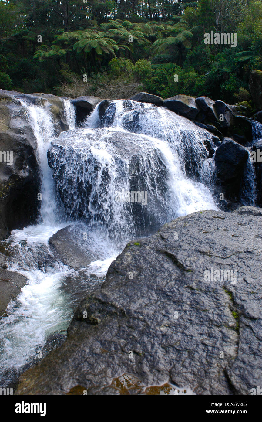 Kaimai ranges new zealand hi-res stock photography and images - Alamy