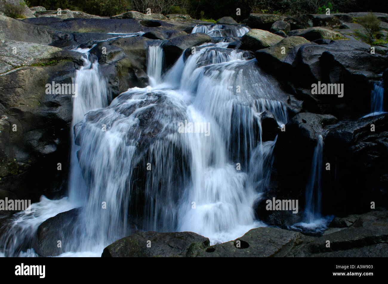 Kaimai Ranges New Zealand High Resolution Stock Photography and Images ...