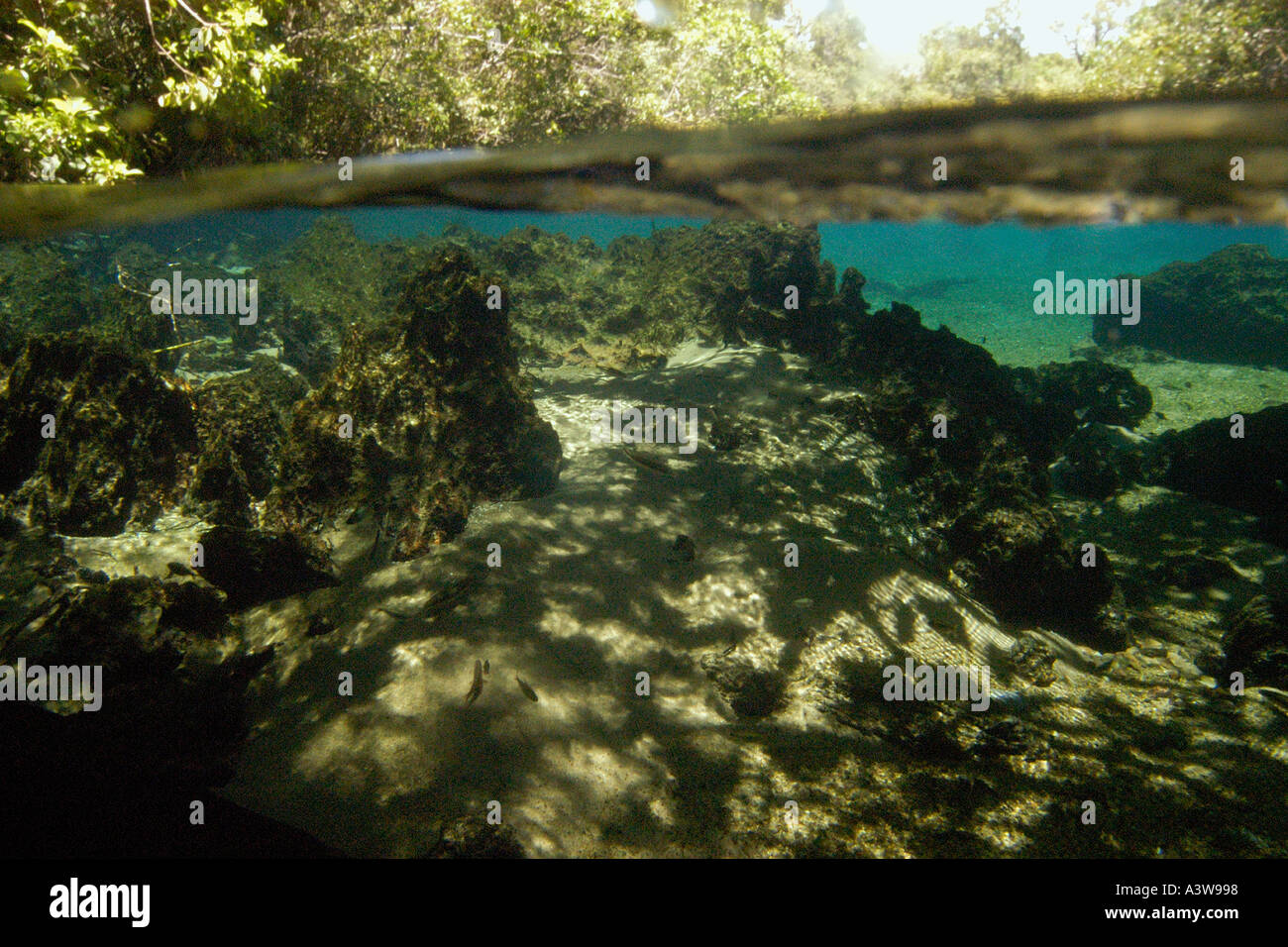 Rocks and sandy bottom of stream natural freshwater spring preserve ...