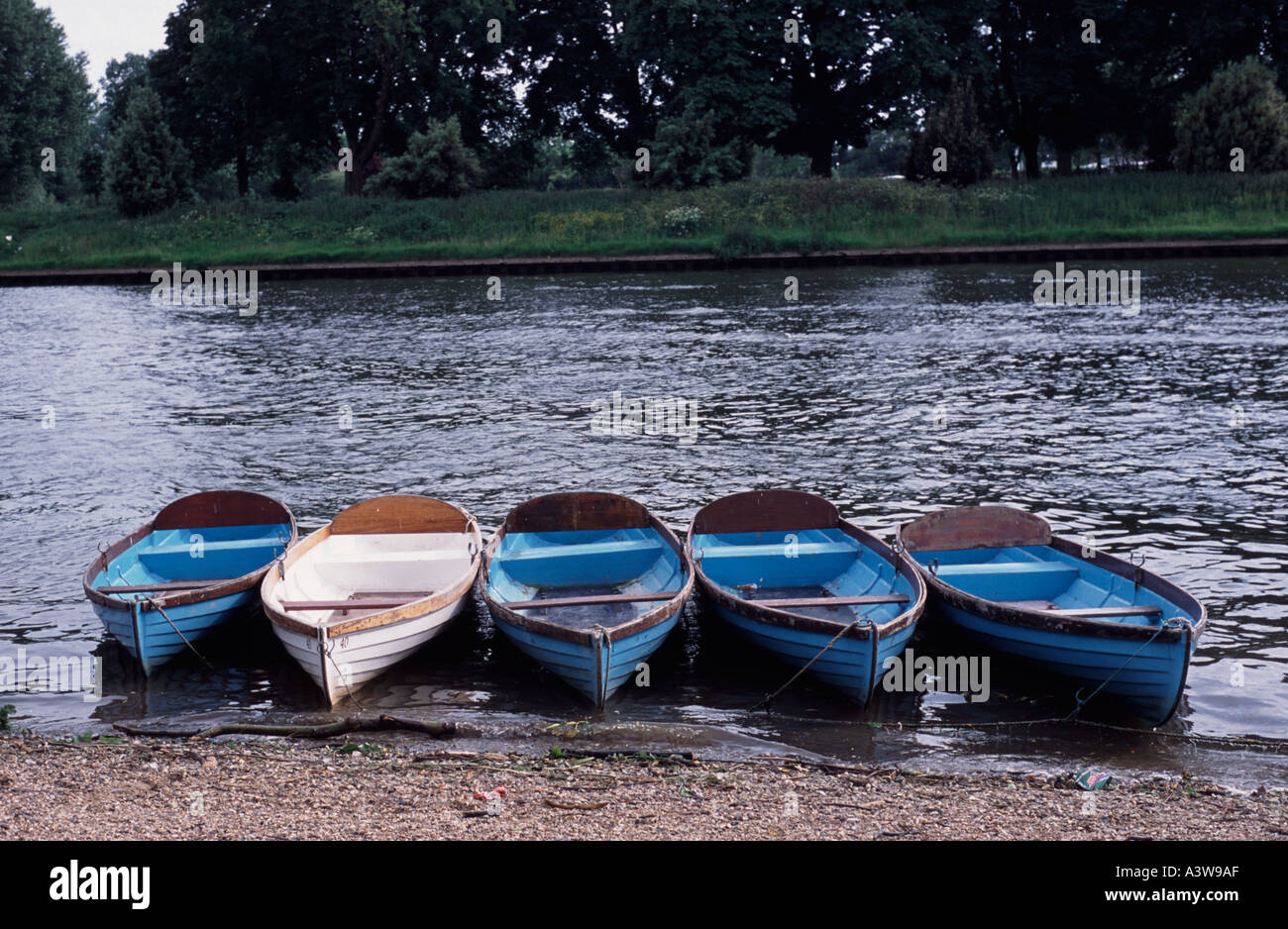 Five rowing boats along the shore of the River Thames Hampton Court ...