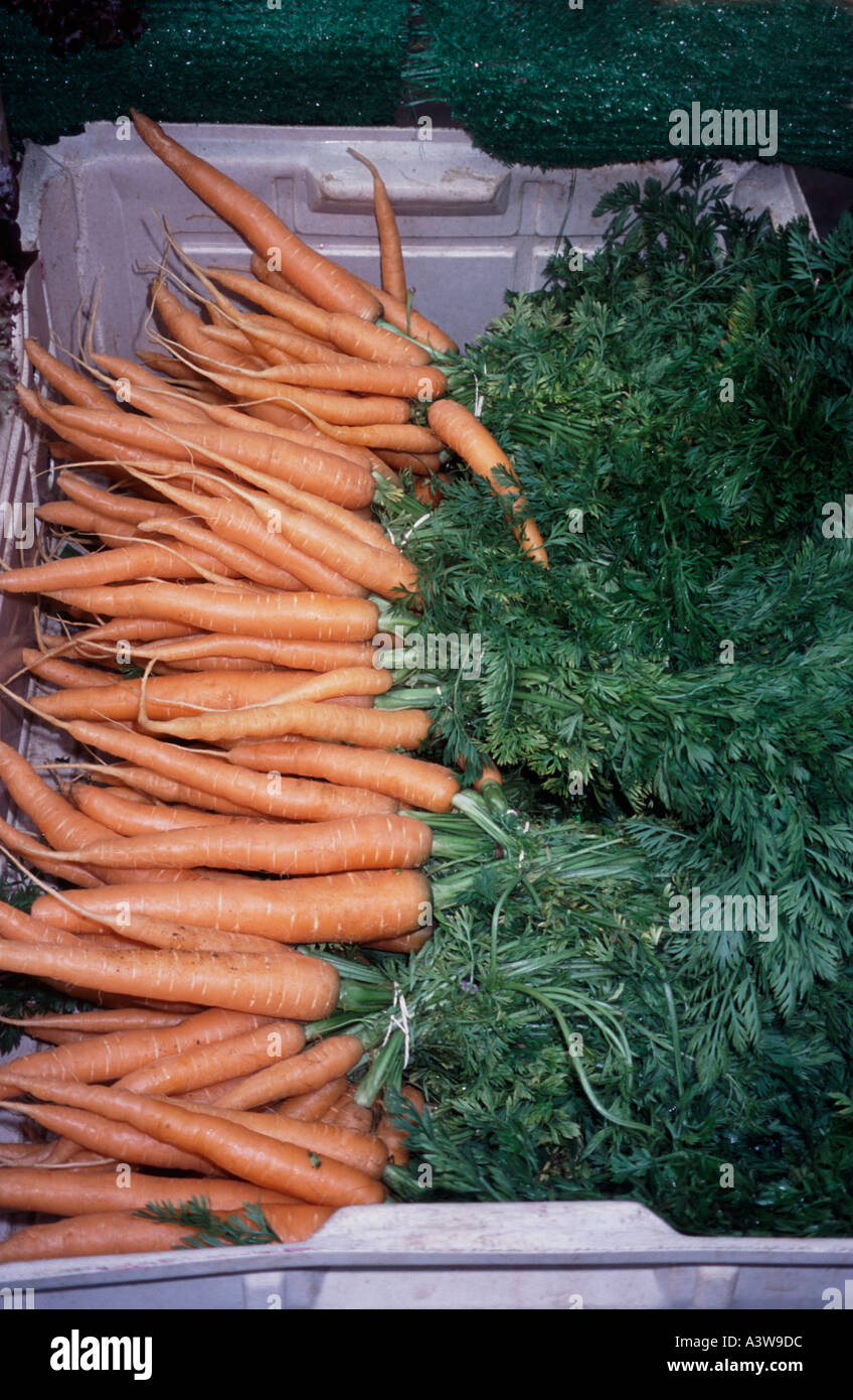 A box of carrots for sale at Bath Farmers Market Green Park Bath Spa ...