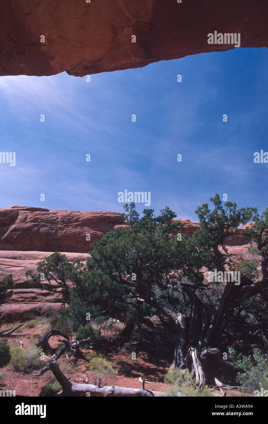 Entrada sandstone formation seen through arch Devils Garden Area Arches ...