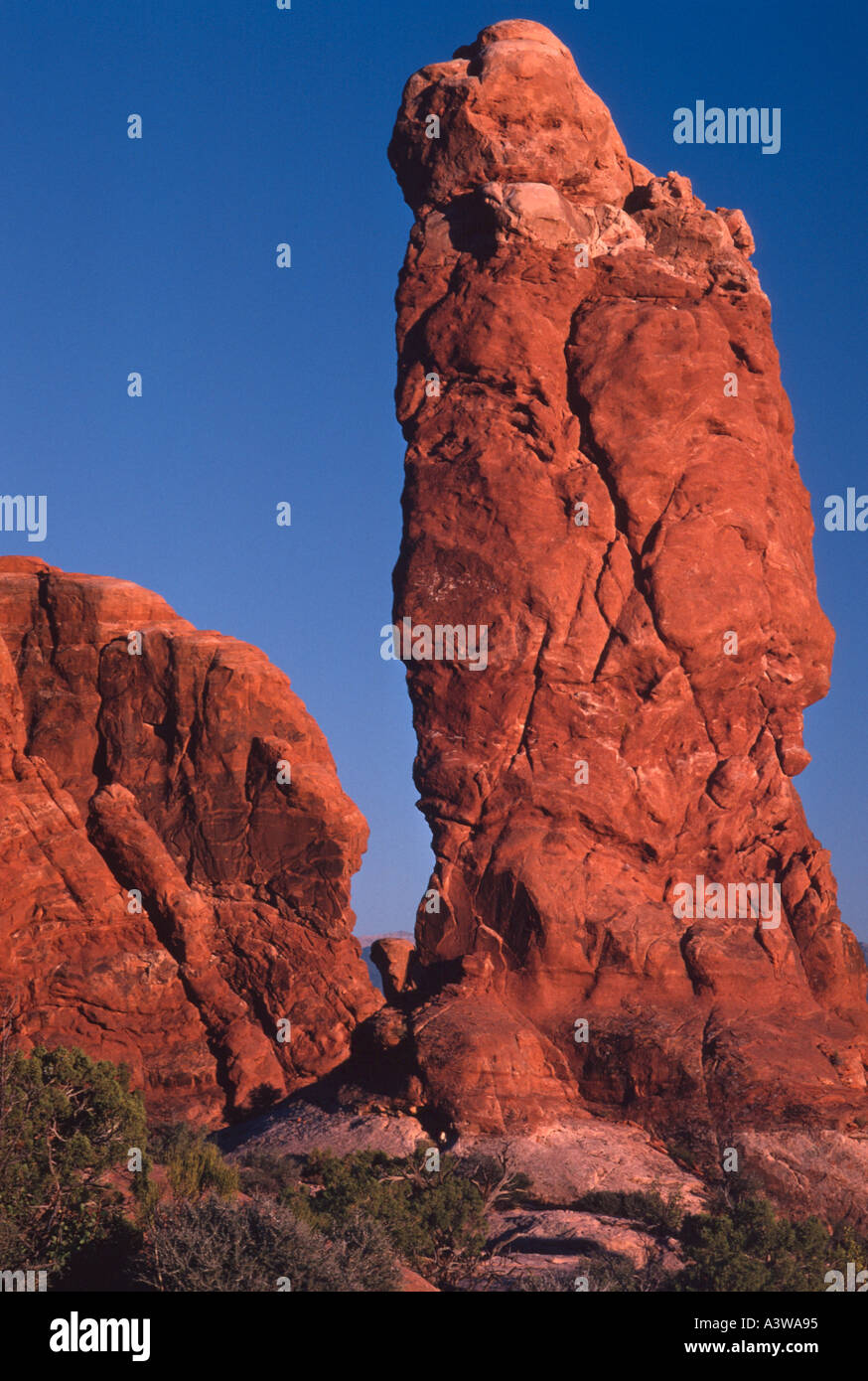 Entrada sandstone column Windows area Arches National Park Moab Utah ...
