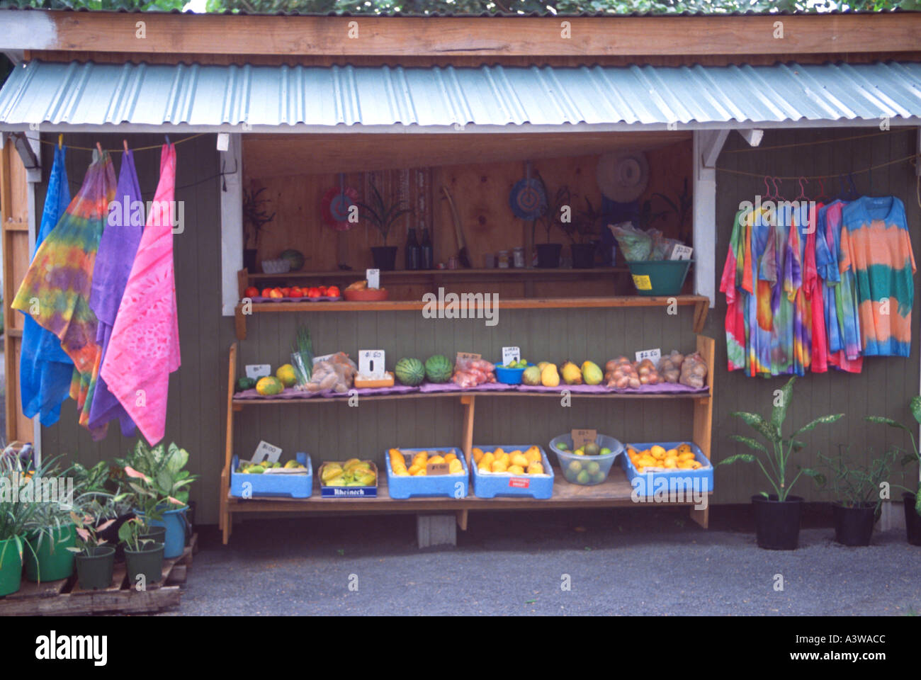 Pareau High Resolution Stock Photography and Images - Alamy