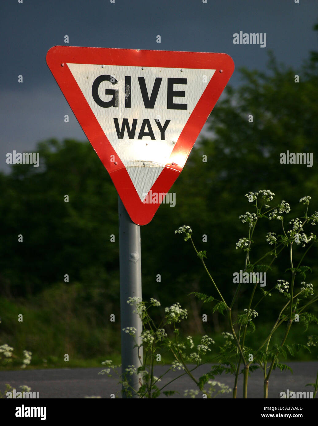 Give Way Sign Stock Photo - Alamy