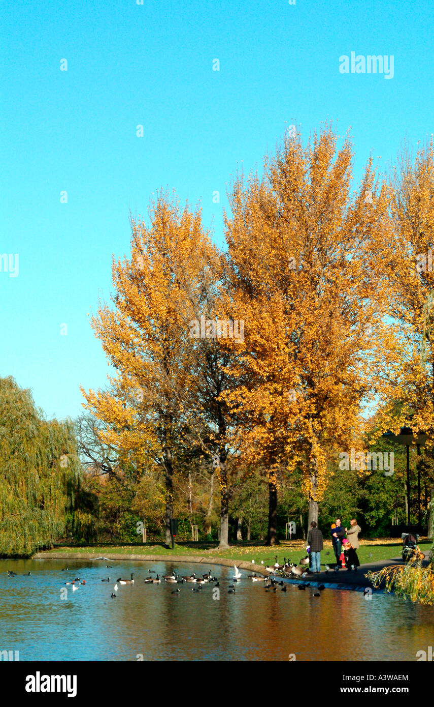 Autumn colours in Regents Park London Stock Photo - Alamy