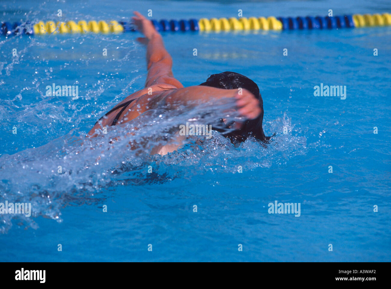 woman swimming in pool competitive or lap swim floating lane markers ...