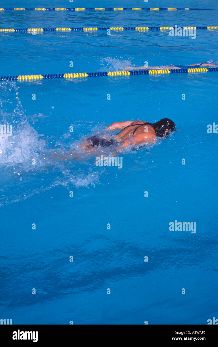 woman swimming in pool competitive or lap swim floating lane markers ...