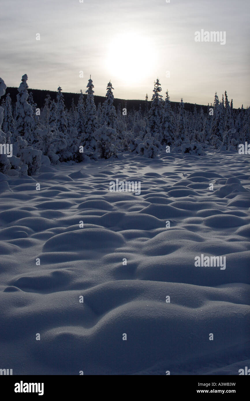 Snow covered tussocks with hazy winter sun, Alaska Stock Photo - Alamy