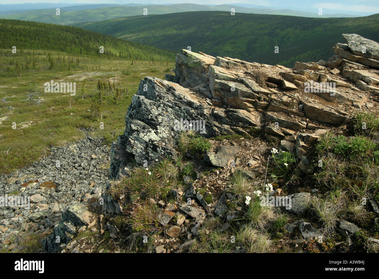 A rock outcropping in the tundra of interior Alaska, near Fairbanks ...
