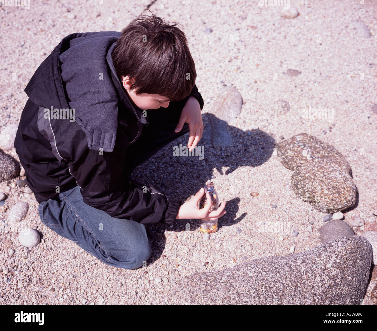 Boy collecting shells Hells Bay Bryher Isles of Scilly Cornwall UK ...