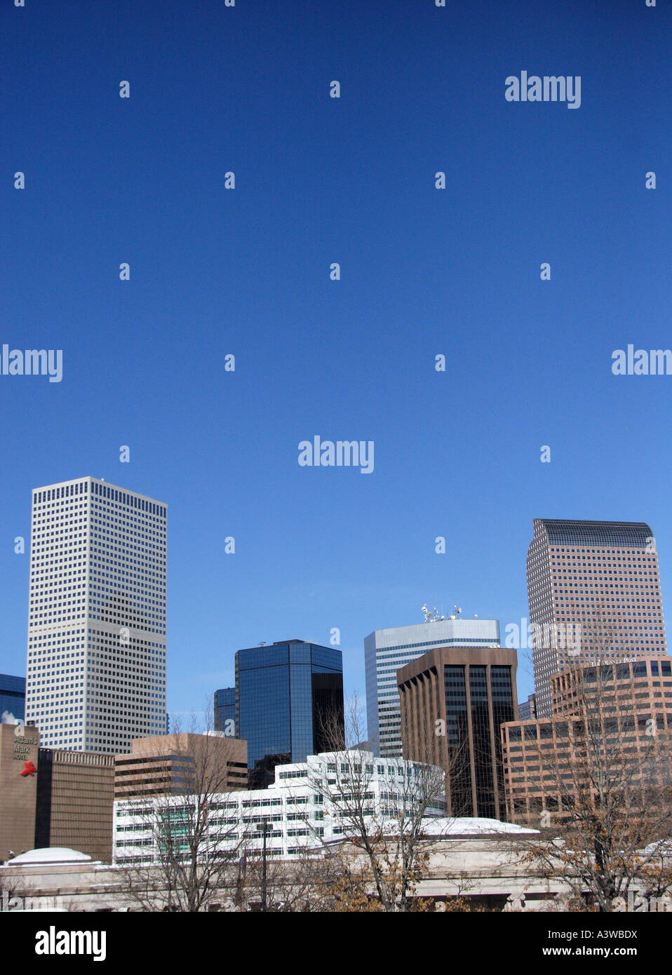 A vertical image of the the buildings of downtown Denver, Colorado, USA ...
