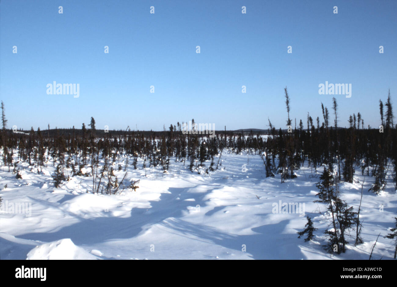 Wastelands hi-res stock photography and images - Alamy