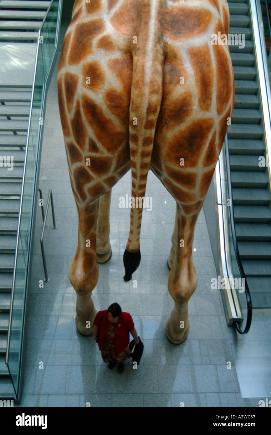 Fake giraffe hi-res stock photography and images - Alamy