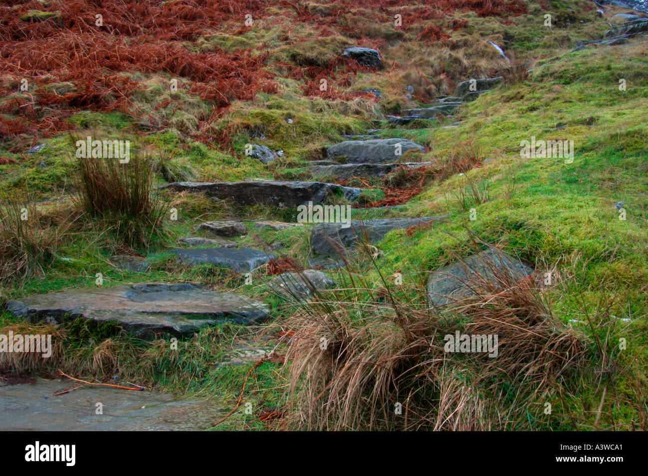 Slate path, north wales Stock Photo - Alamy