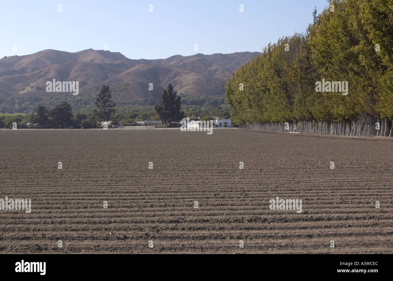California farm field C10390 Stock Photo - Alamy
