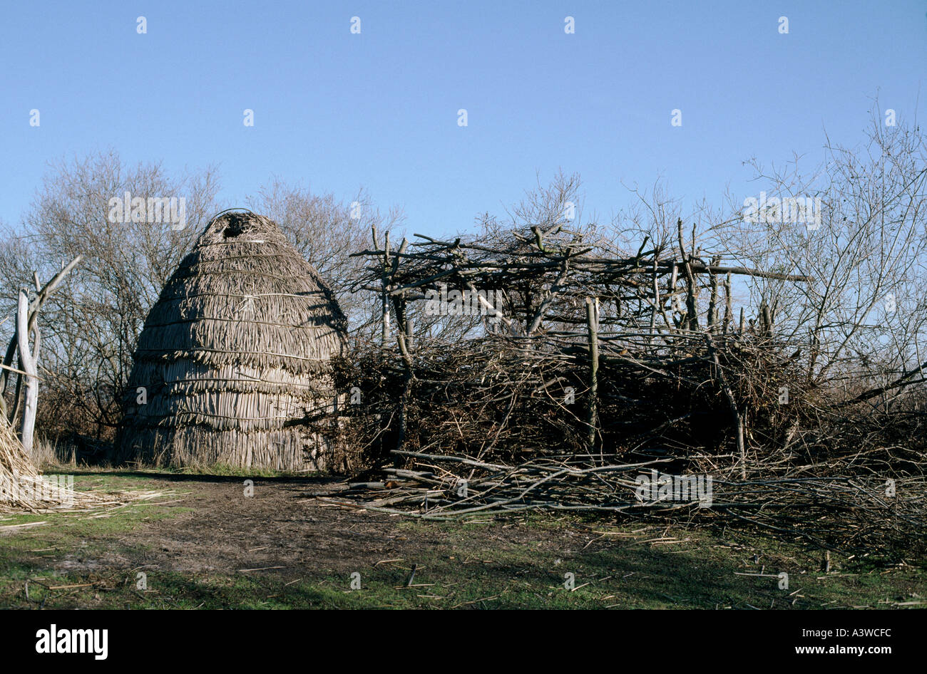 Shell Mound Stock Photos & Shell Mound Stock Images - Alamy