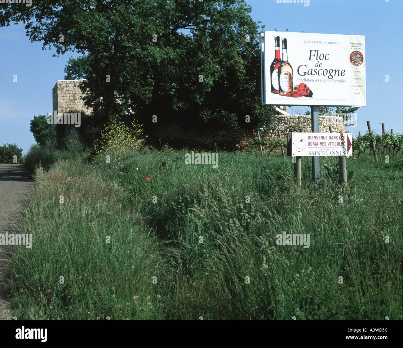 Gers france vineyard hi-res stock photography and images - Alamy